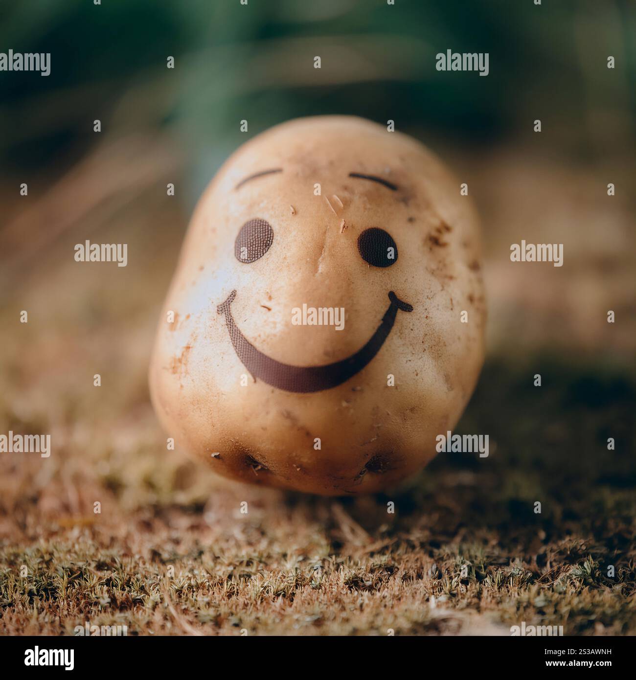 A single potato with a painted-on face, featuring big eyes and a wide ...