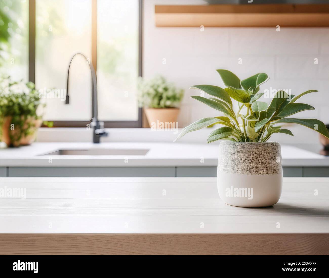 A sunlit kitchen countertop showcases a simple arrangement of natural ...