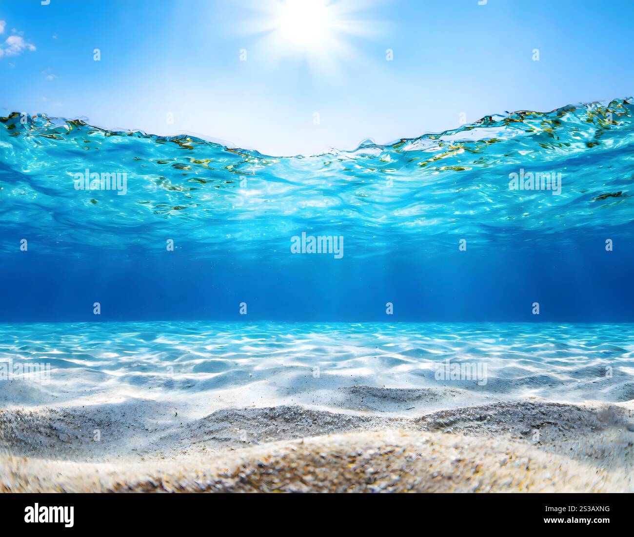 Undersea world. Landscape underwater in the sea or ocean. Beauty marine ...