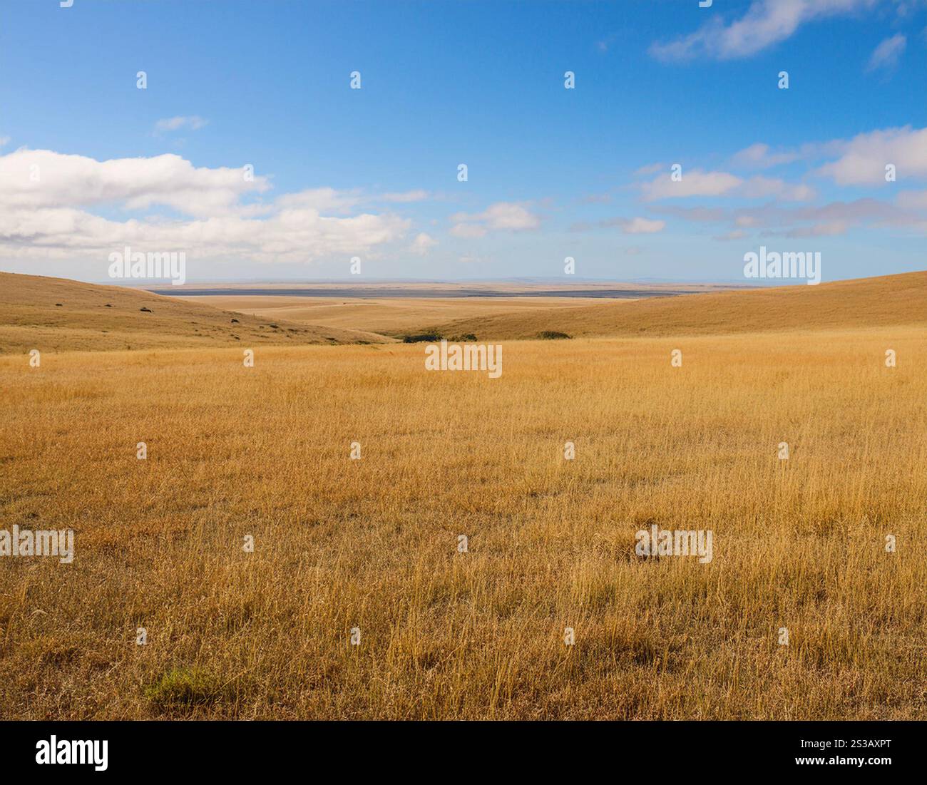 Close up depiction of wide and expansive spaces featuring elements like ...