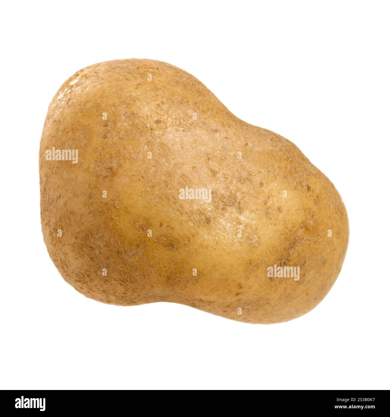 potato isolated on white background. potato isolated Stock Photo - Alamy