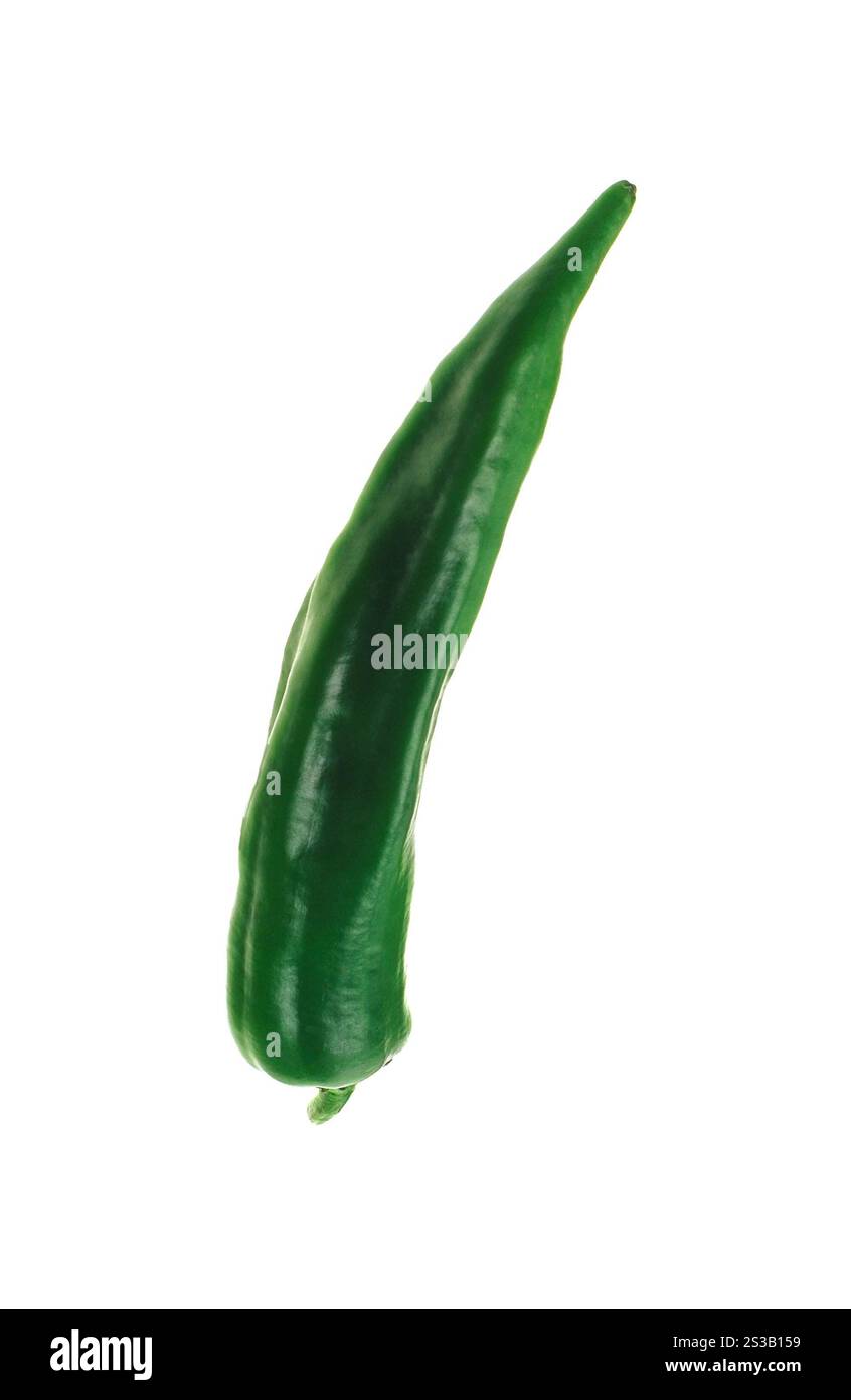 One chili pepper, green isolated on a white background. One chili ...