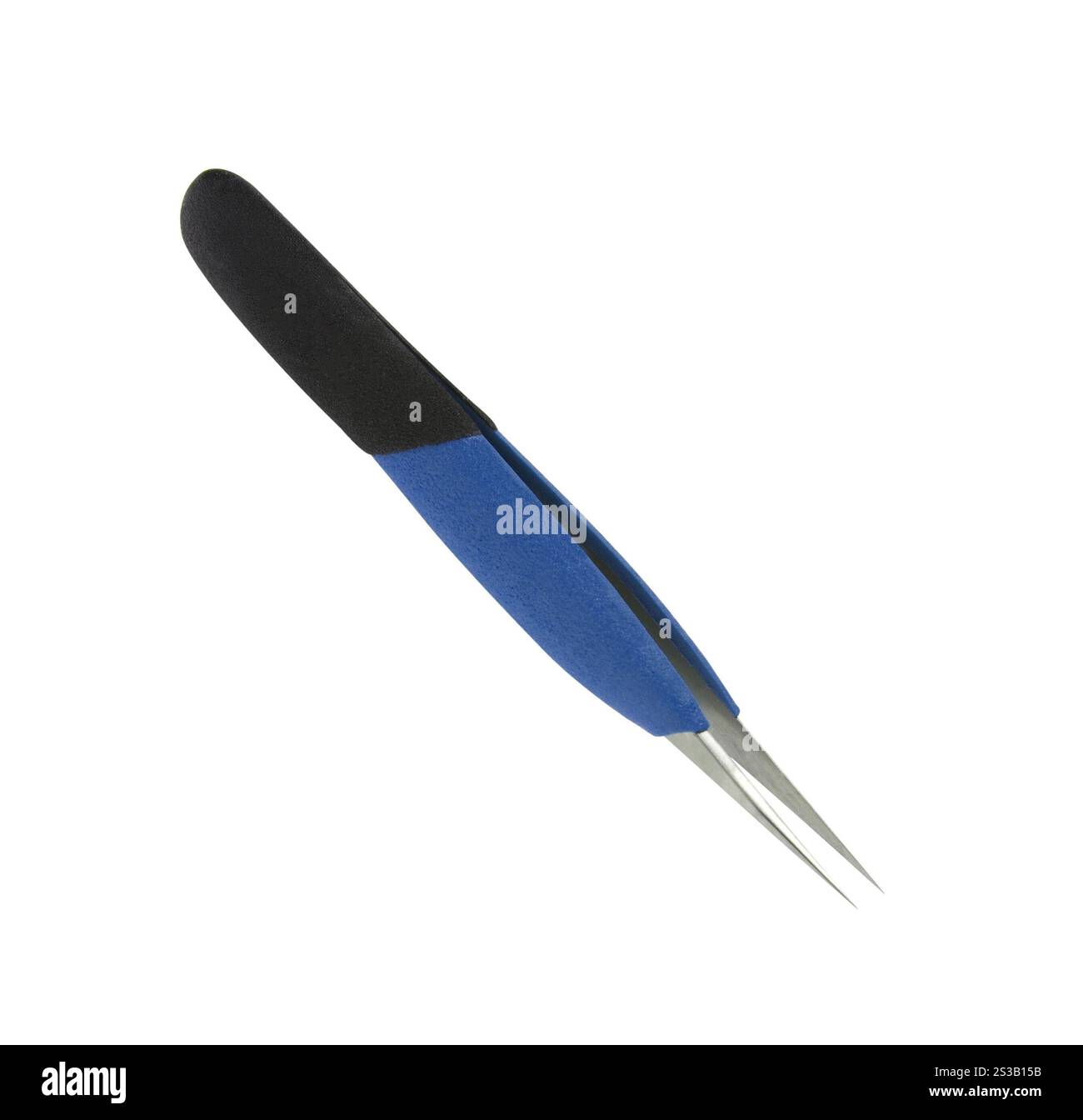 Macro close up on sharp Cut Out Stock Images & Pictures - Alamy