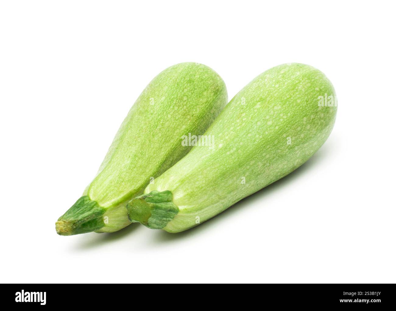 Fresh vegetable marrow. Isolated on white. Fresh vegetable marrow Stock ...