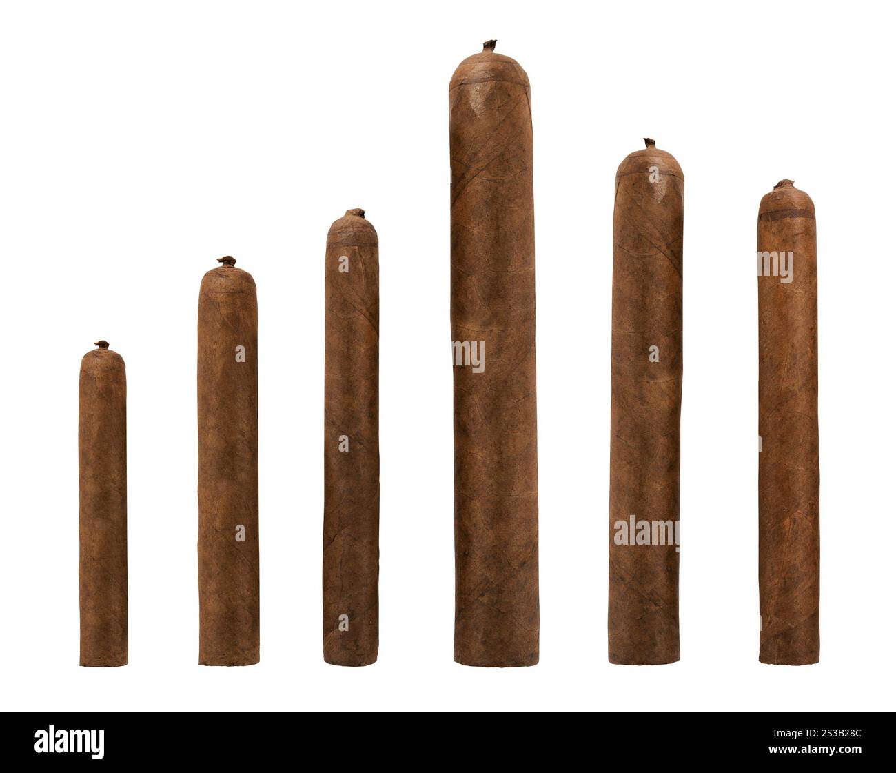isolated cigars all sizes isolated on white background. isolated cigars ...