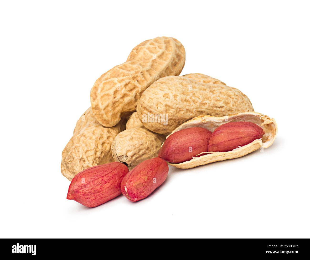 Dried peanuts in closeup isolated on white background. Dried peanuts ...