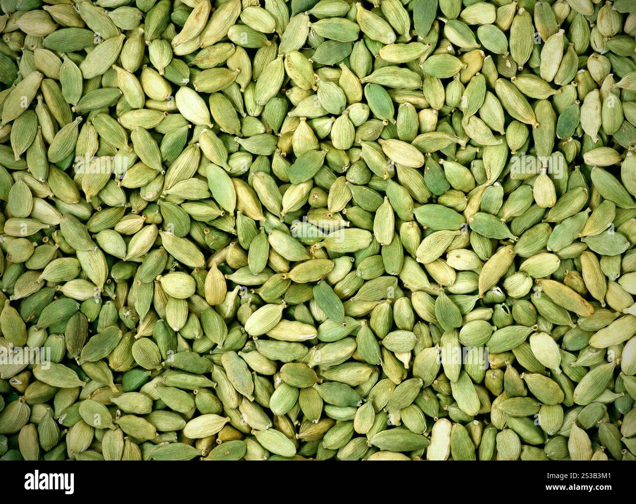 green spices close up background. green spices Stock Photo - Alamy