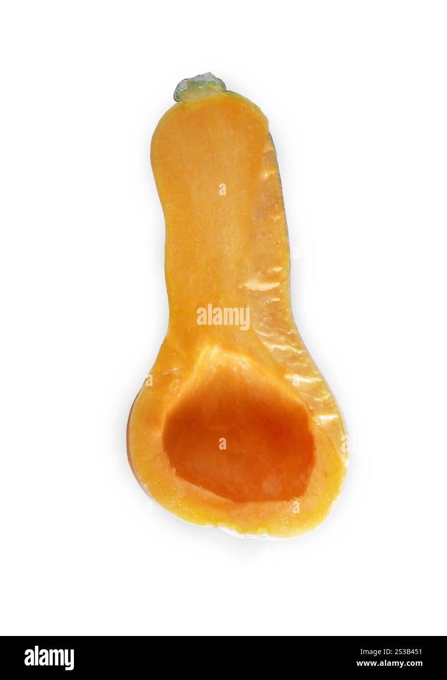 Butternut squash, whole and halved isolated on white background ...