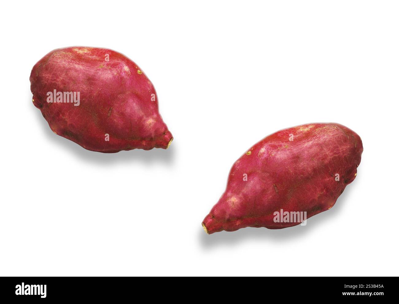 red batatas isolated on white background. red batatas Stock Photo - Alamy