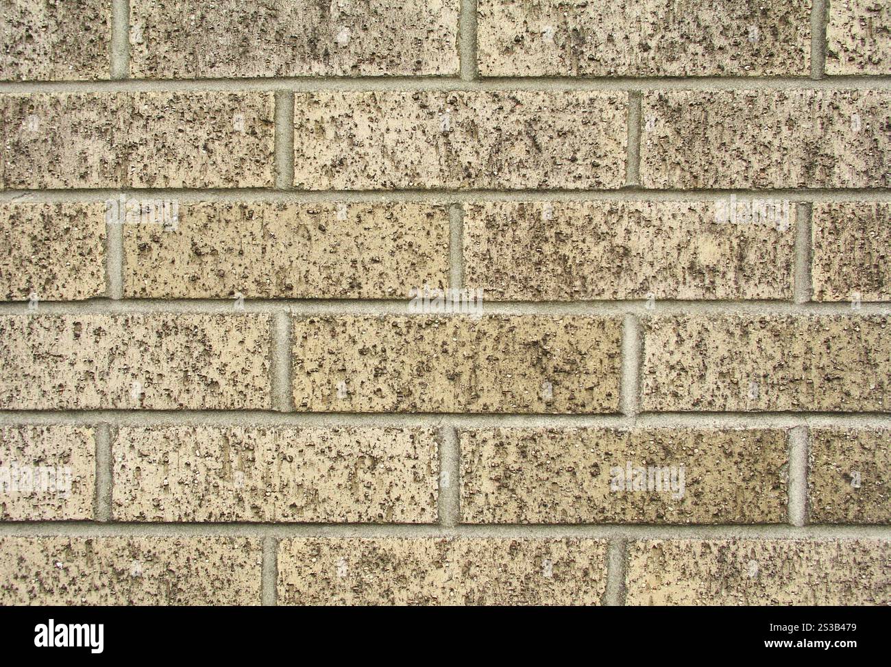 Green brick wall isolated on white background. Green brick wall Stock ...