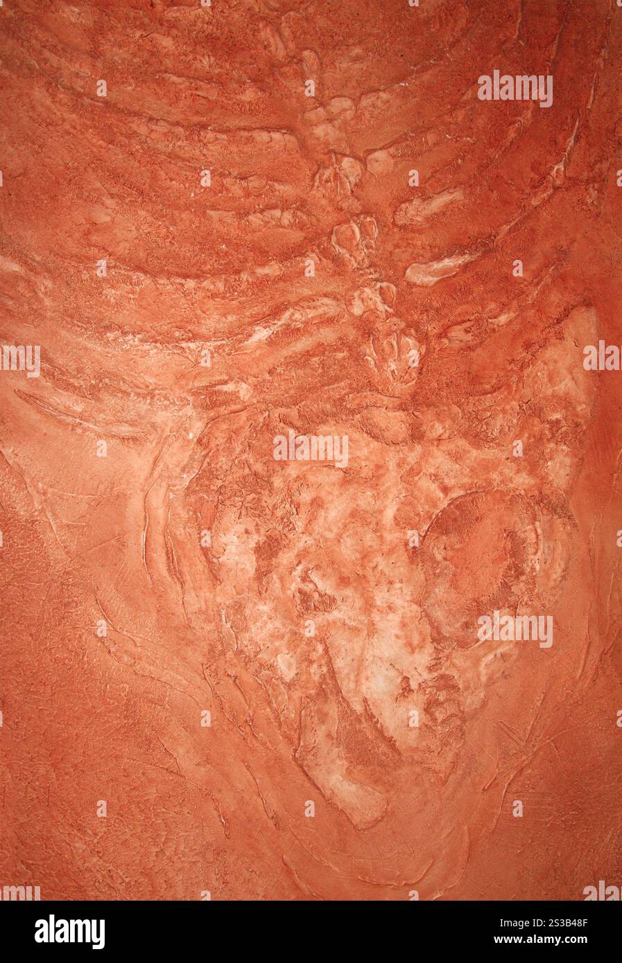 Giant fish fossils close-up background Stock Photo - Alamy