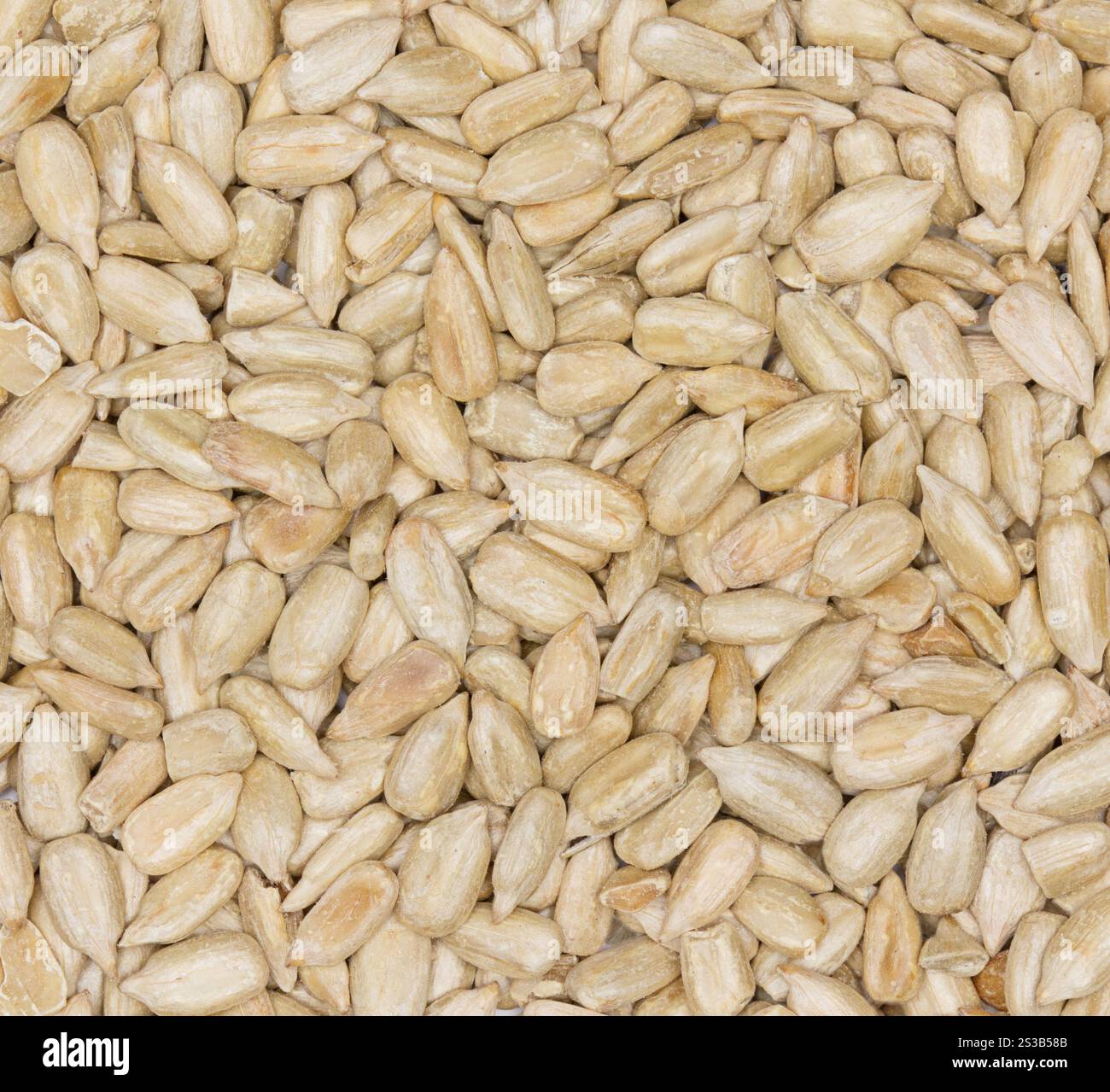 Sunflower Seeds Texture As Background. Sunflower Seeds Stock Photo - Alamy