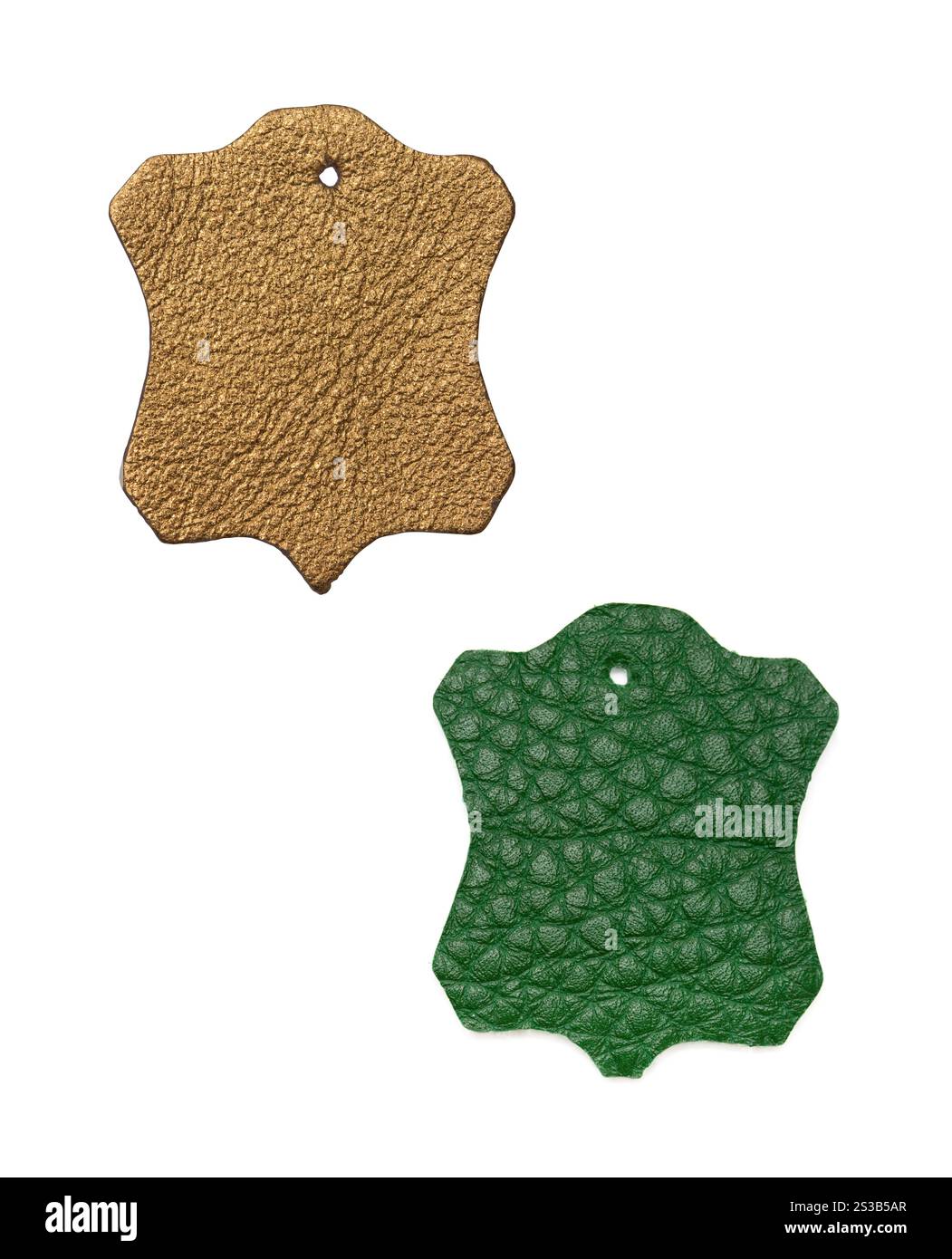 two skin slices background isolated on white background. two skin ...