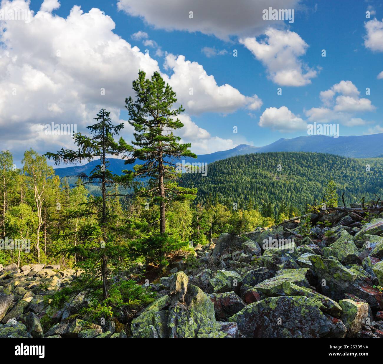 Carpathian Mountain (Ukraine) summer landscape with sky and cumulus ...
