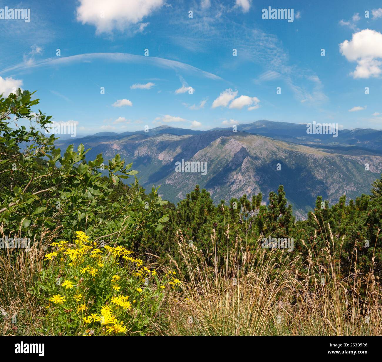 Picturesque summer mountain landscape near Tara Canyon in mountain ...
