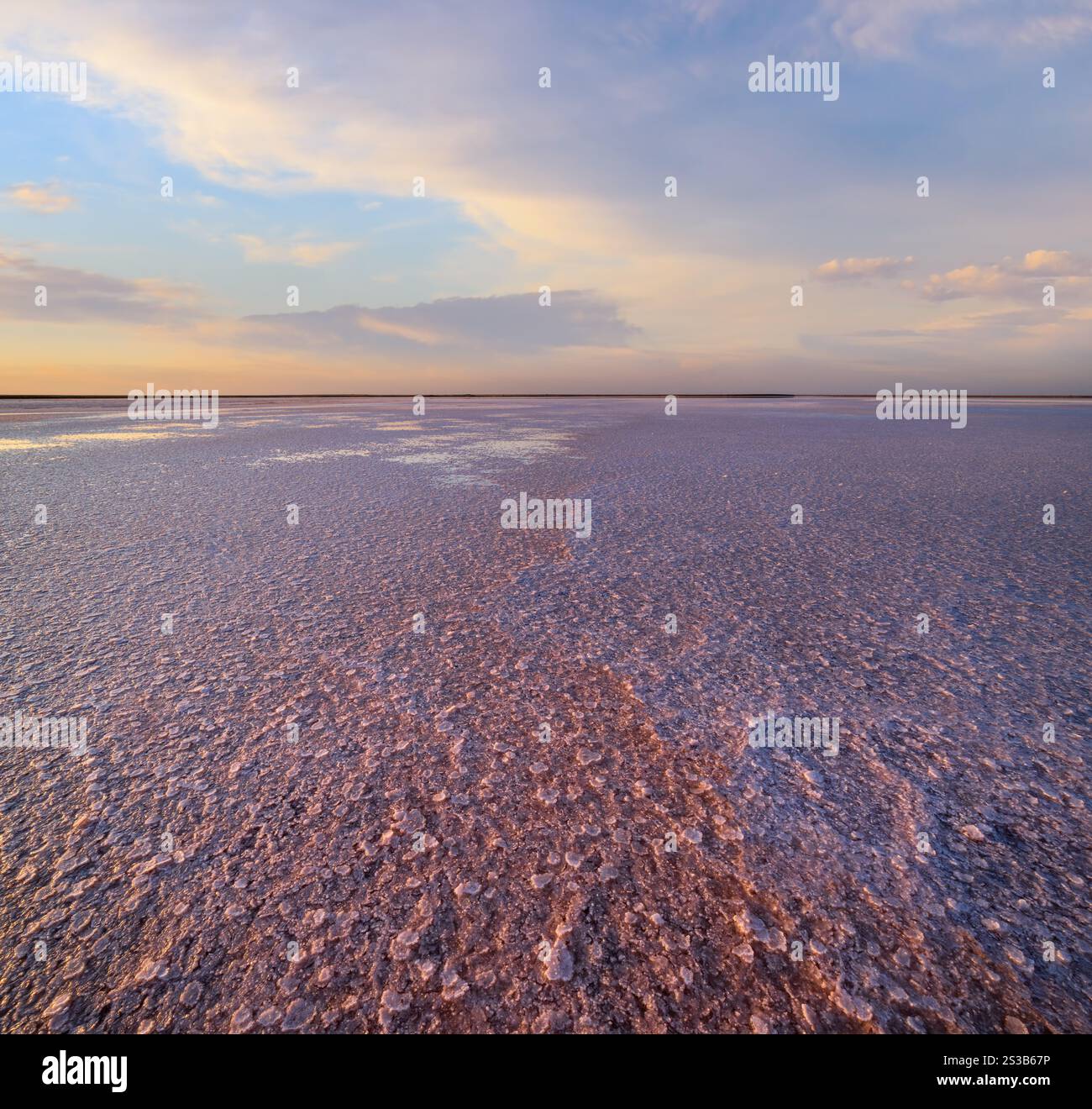 Sunset on the Genichesk pink extremely salty lake (colored by ...