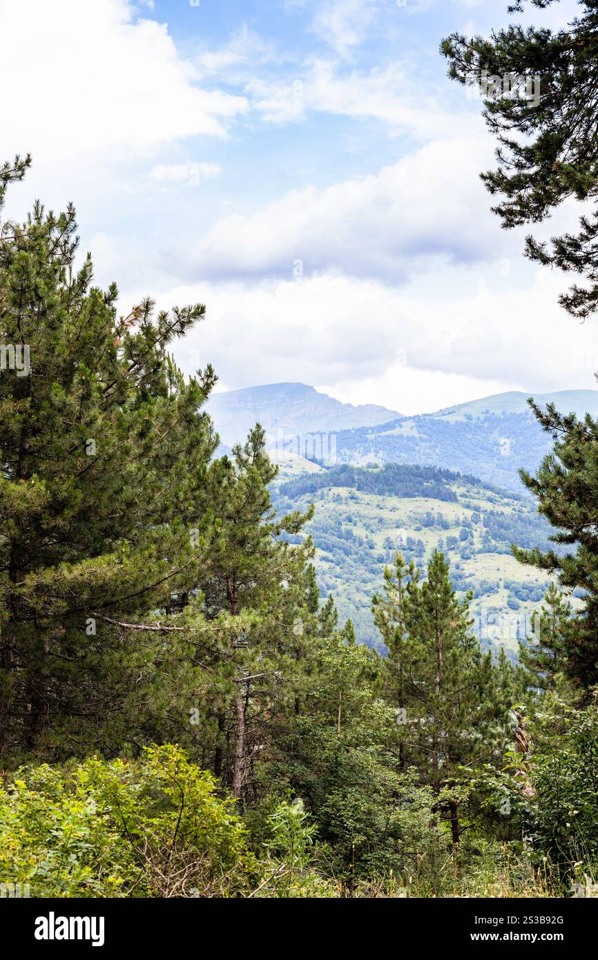 Transcaucasian trail hi-res stock photography and images - Alamy