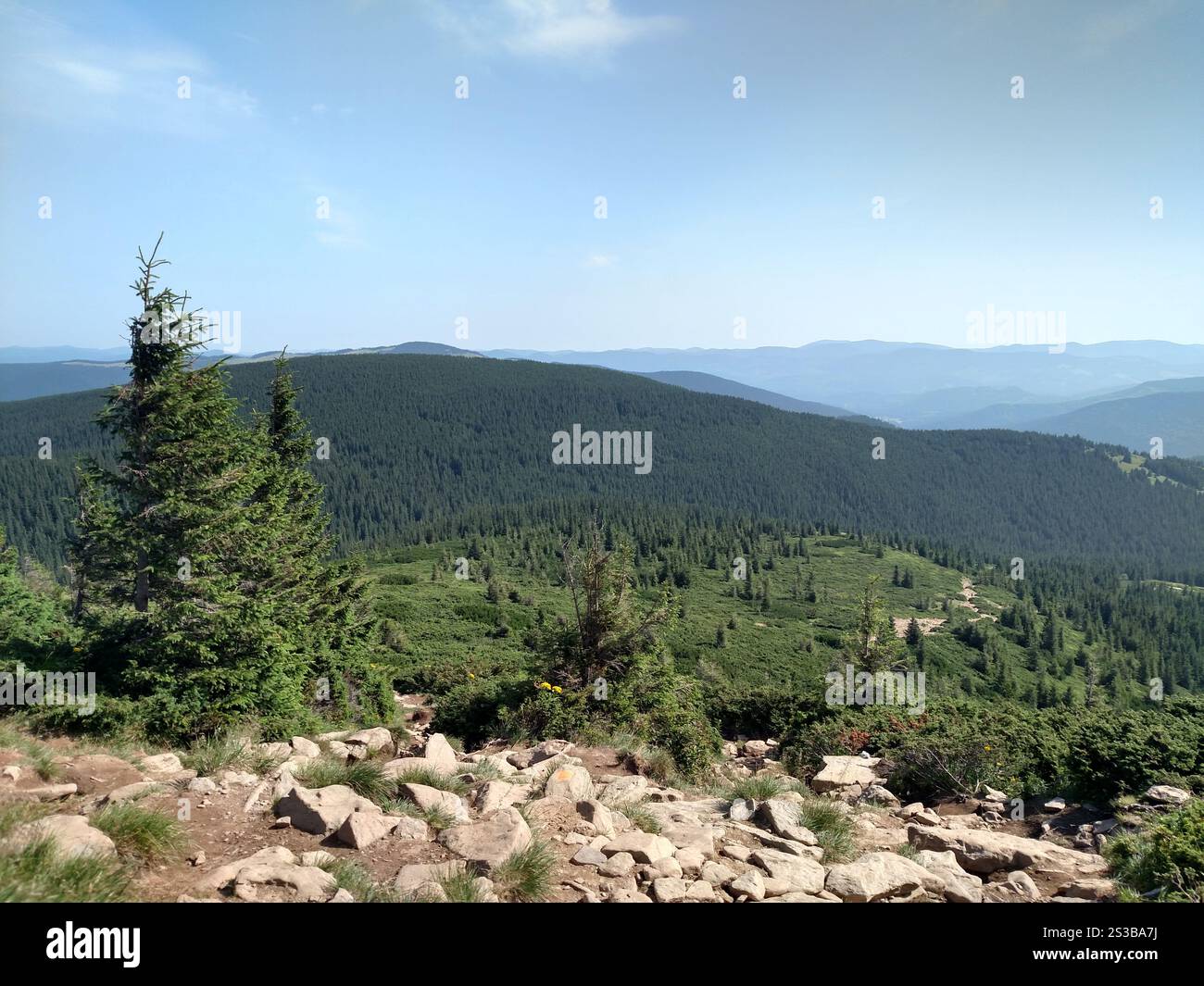 Mountain landscape and forest horizontal color photo image Stock Photo ...