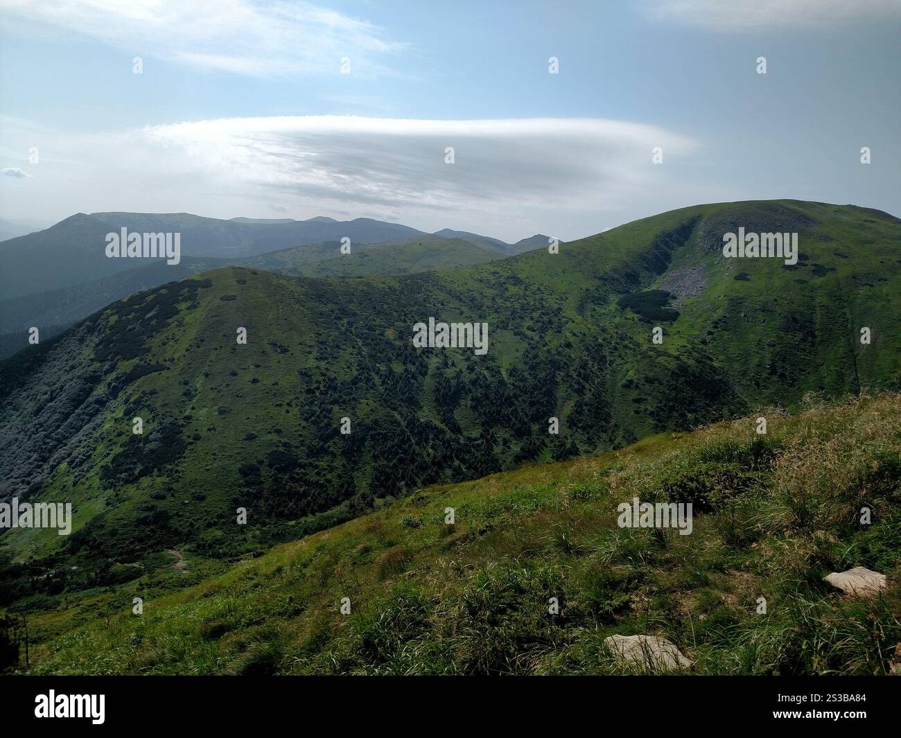 Mountain landscape and forest horizontal color photo image Stock Photo ...