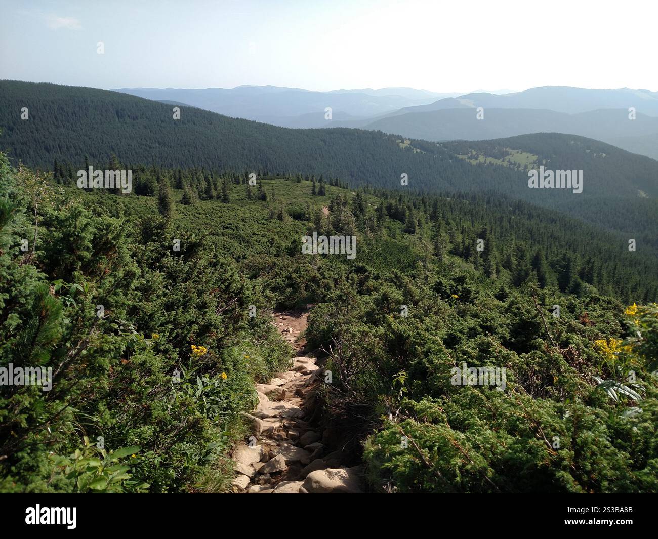 Mountain road trail leads to the bottom scenic landscape with view ...