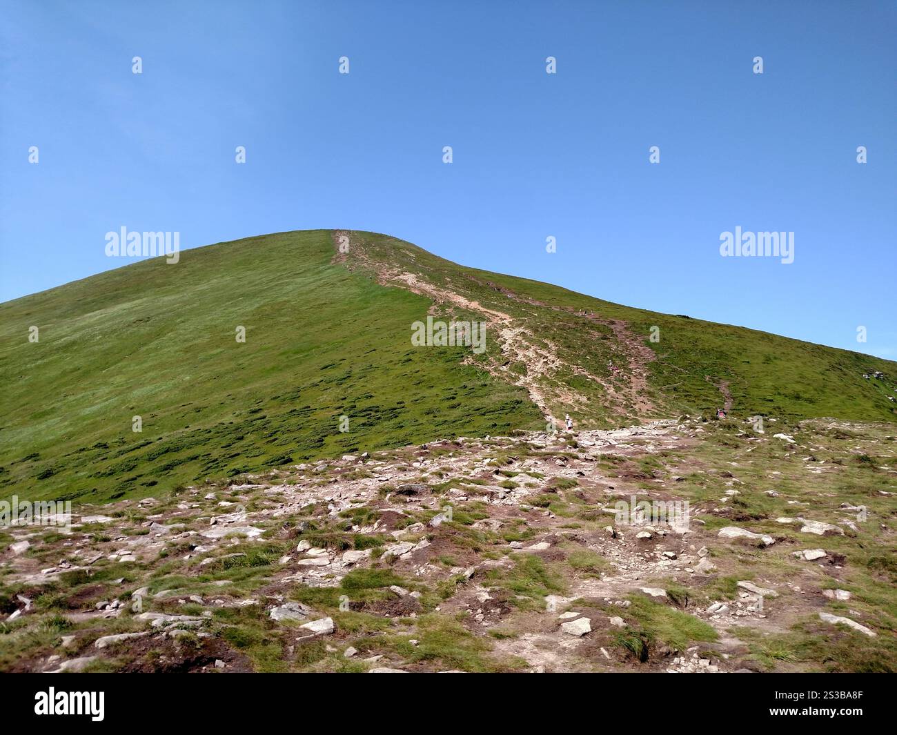 Hiking in top of the mountain Hoverla use trail horizontal color photo ...