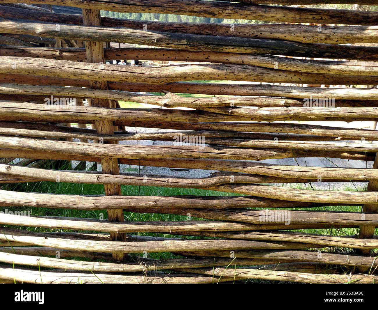 Knotted branches hi-res stock photography and images - Alamy