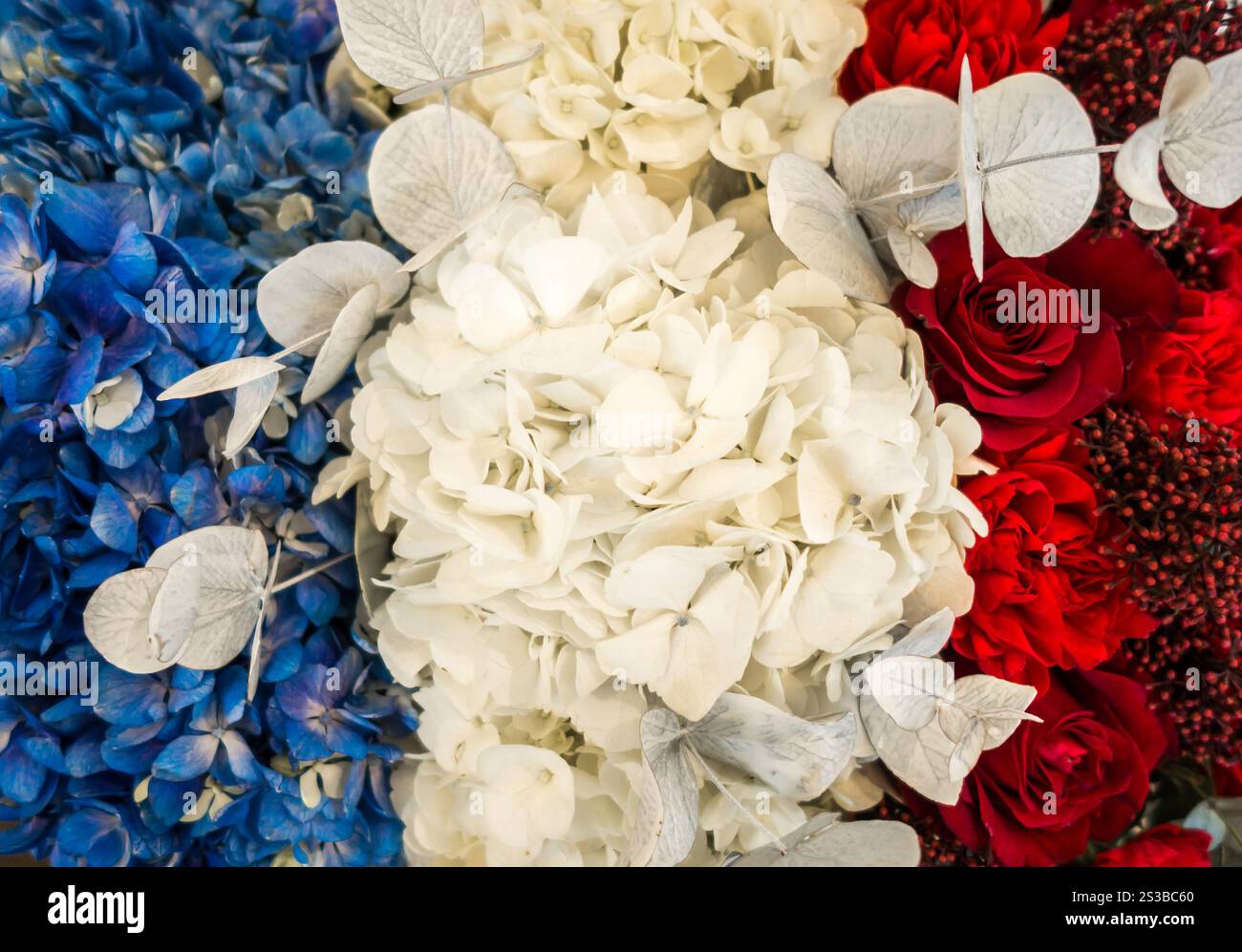 French flag made of blue, white and red flowers. French flag made of ...