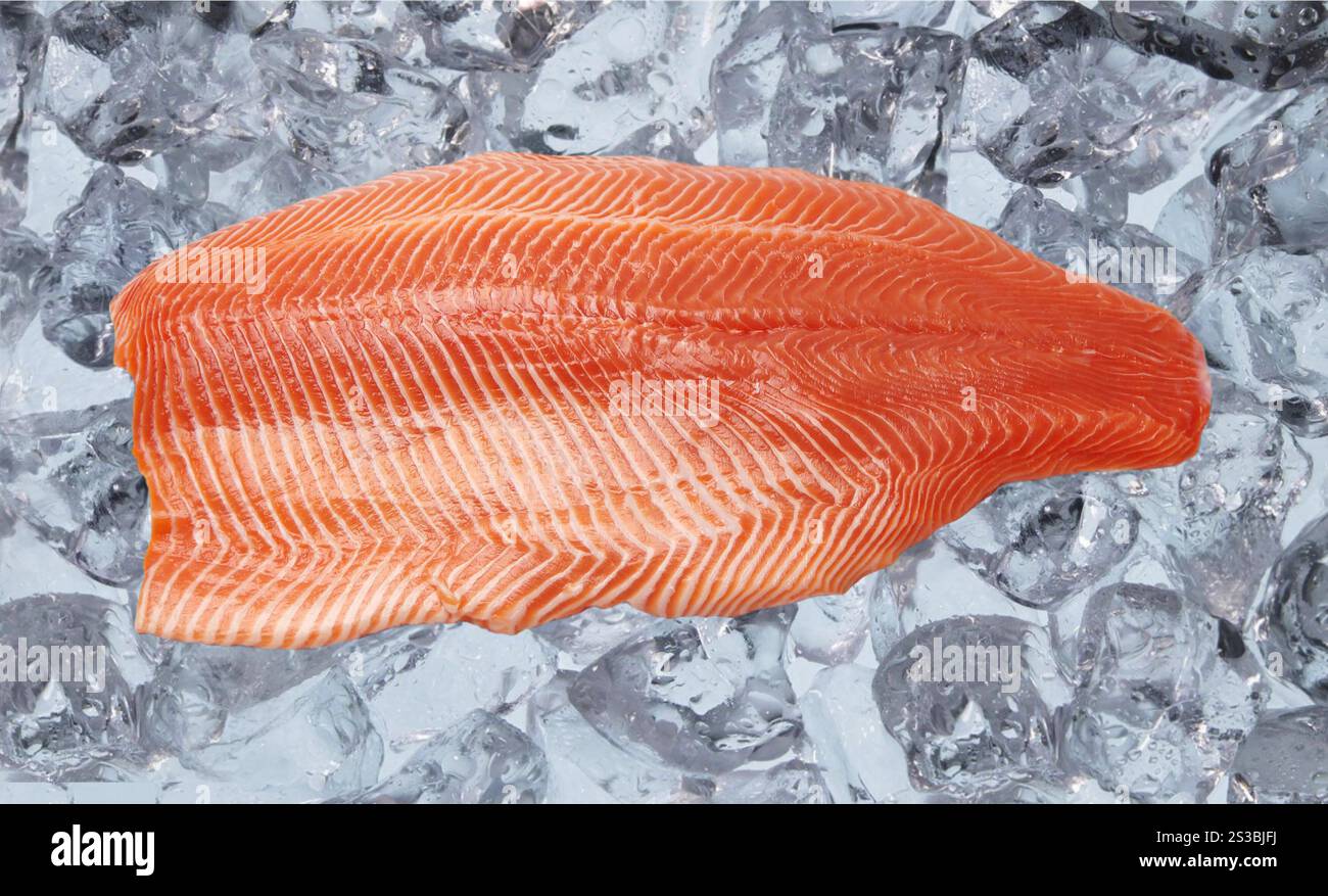 salmon on ice isolated Stock Photo - Alamy