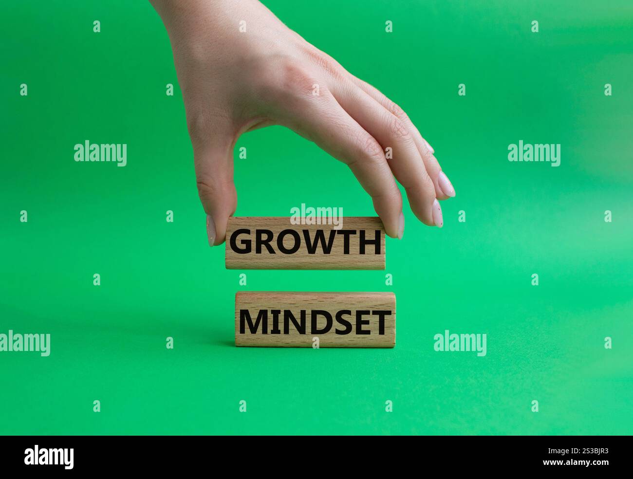 Growth Mindset symbol. Concept word Growth Mindset on wooden blocks ...