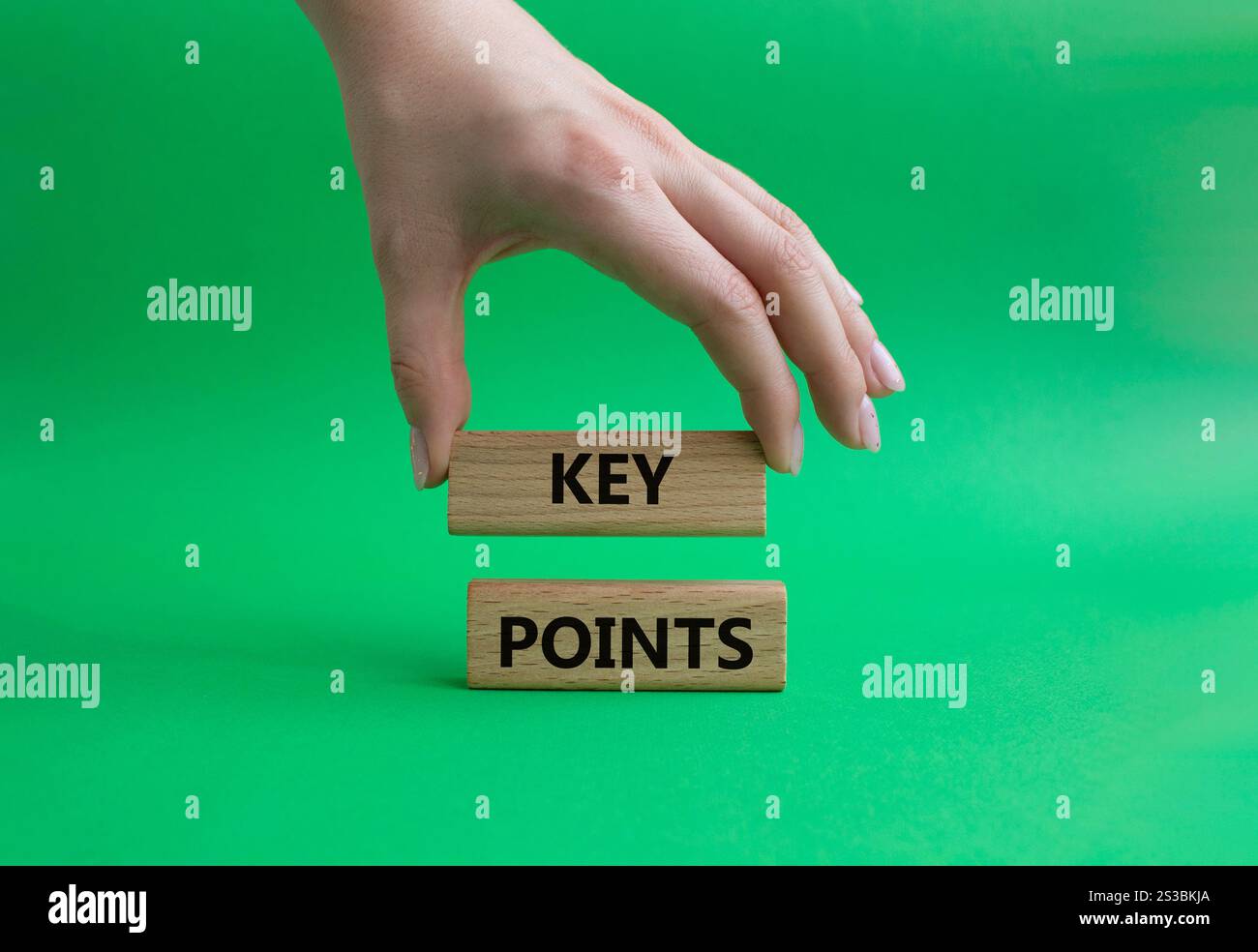 Key points symbol. Wooden blocks with words Key points. Beautiful green ...