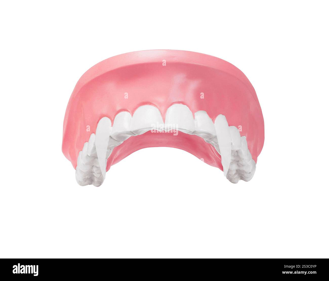 Vampire teeth isolated on white background. Vampire teeth isolated ...