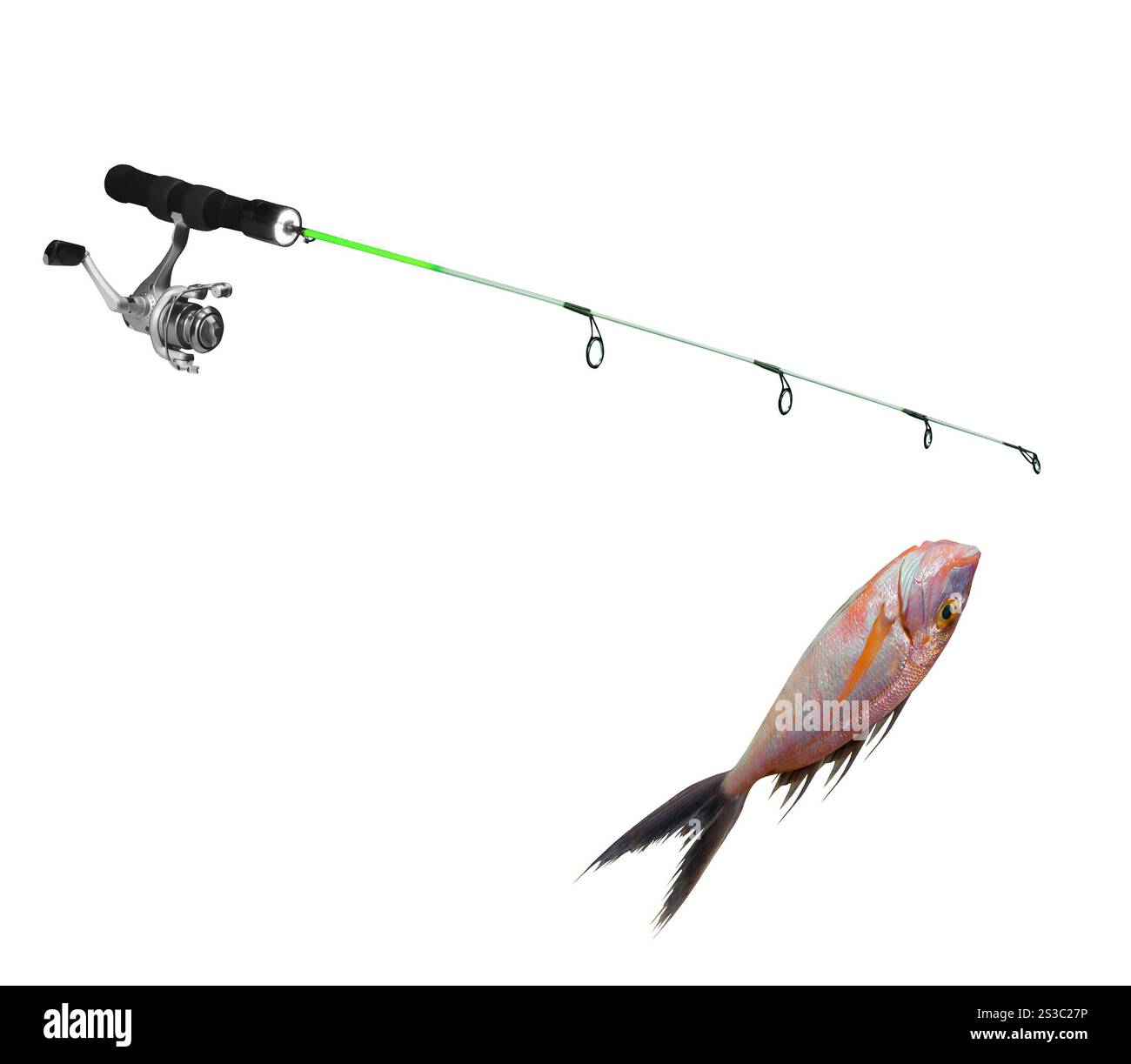 fish on fishing-rod on white background. fish on fishing-rod Stock ...