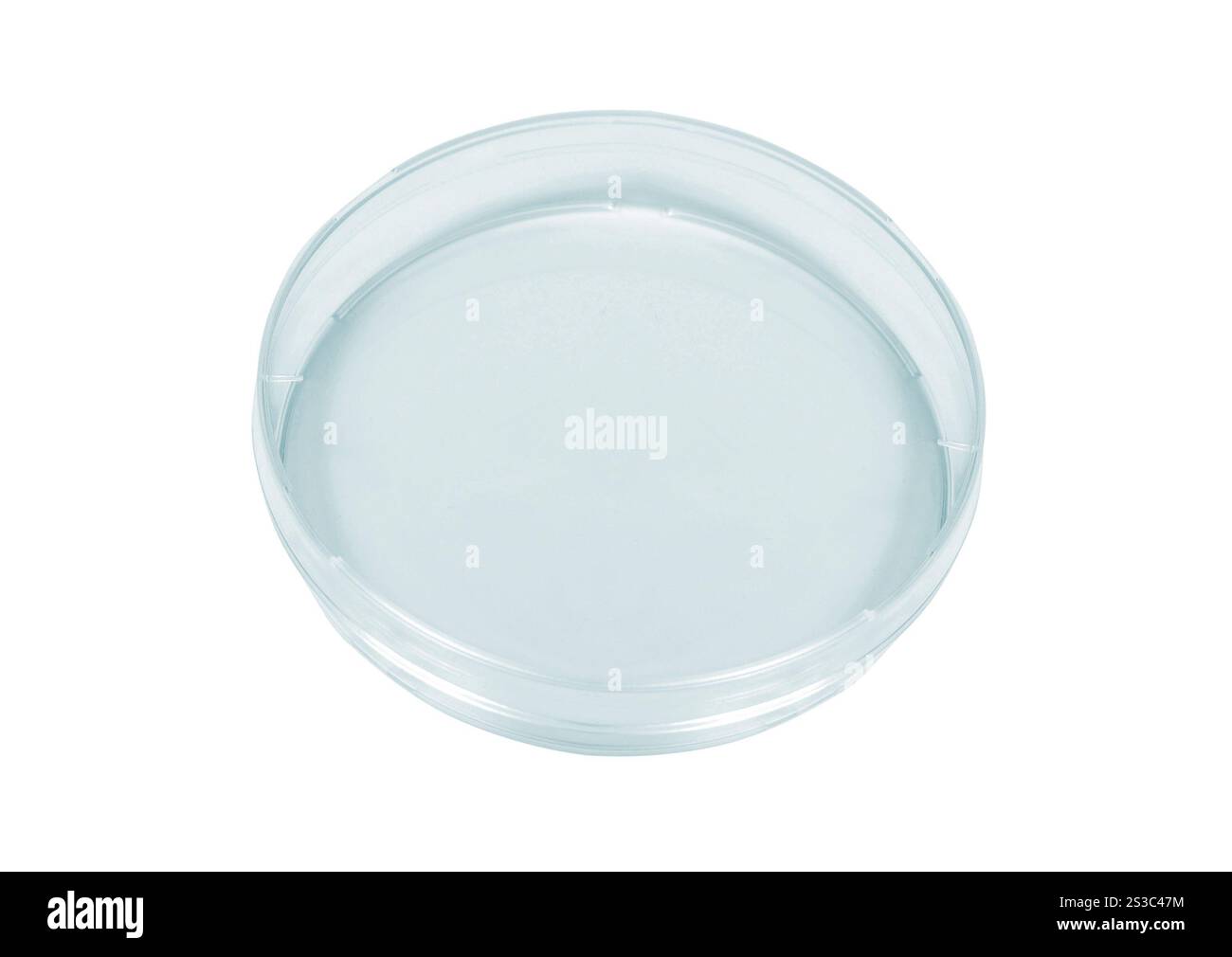 Petri dish isolated on white. Petri dish Stock Photo - Alamy