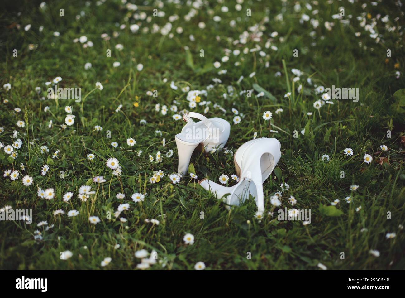 White high heels laying on meadow Stock Photo - Alamy