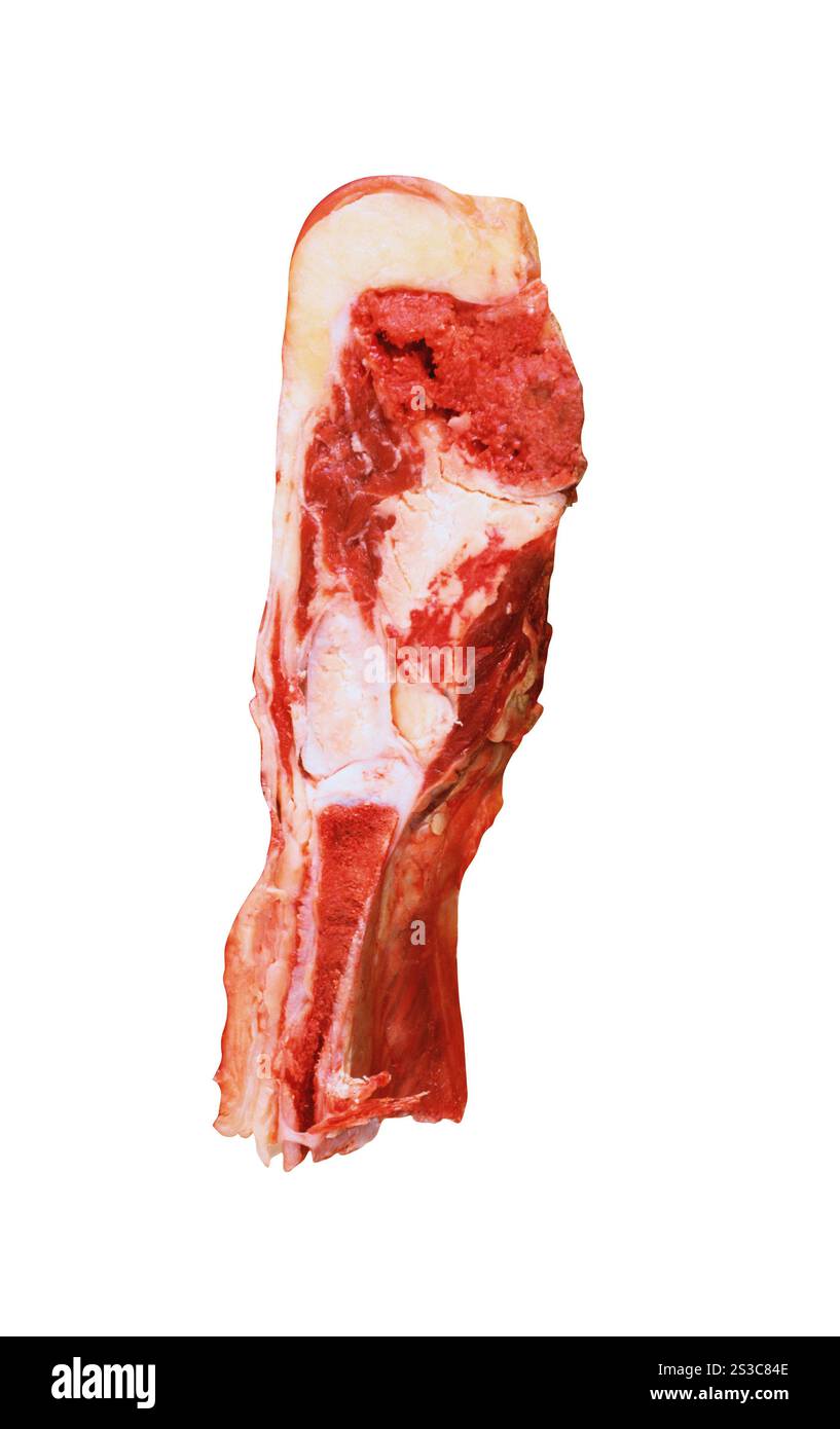 Fillet steak meat Stock Photo - Alamy