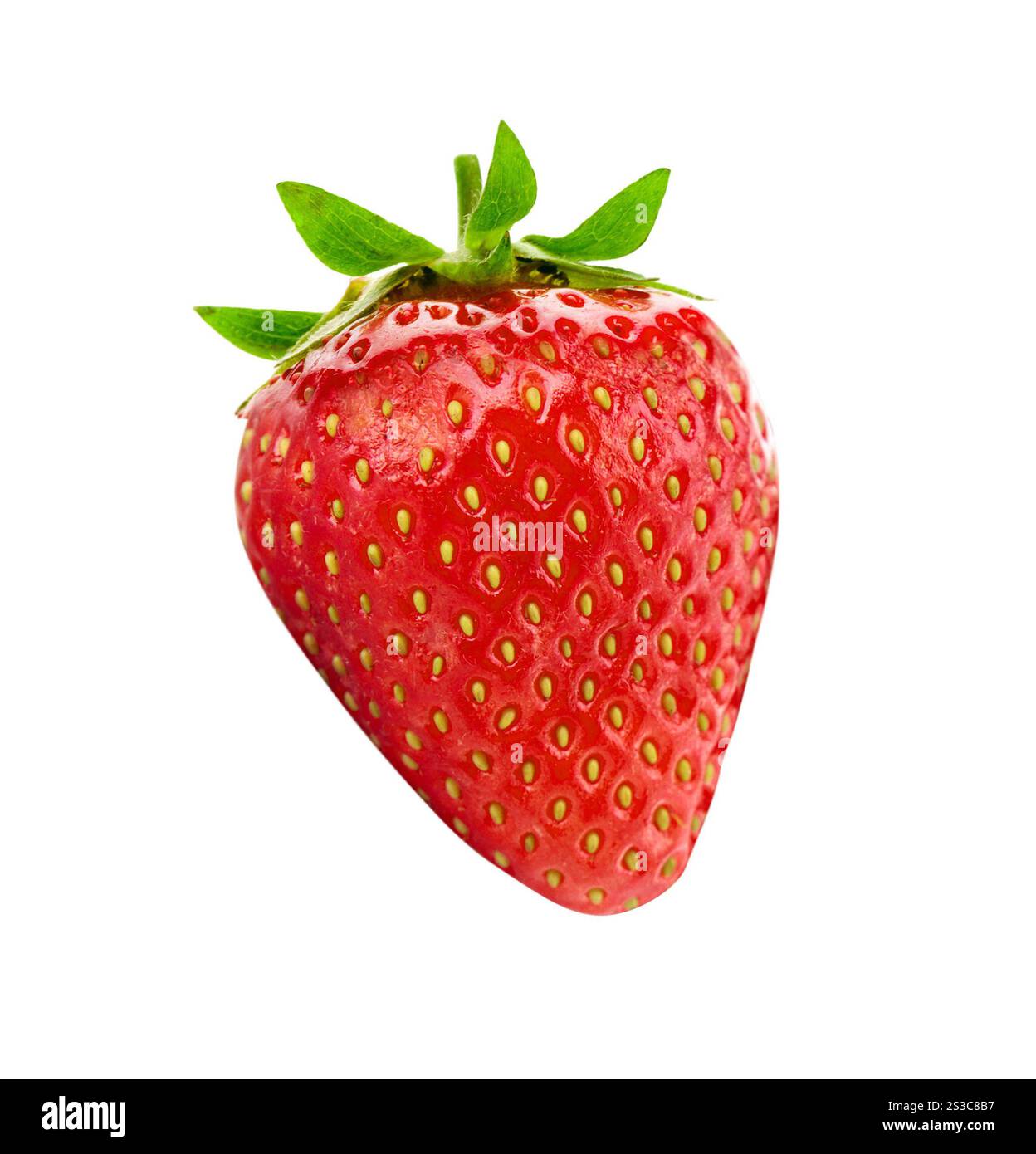 Red berry strawberry isolated Stock Photo - Alamy