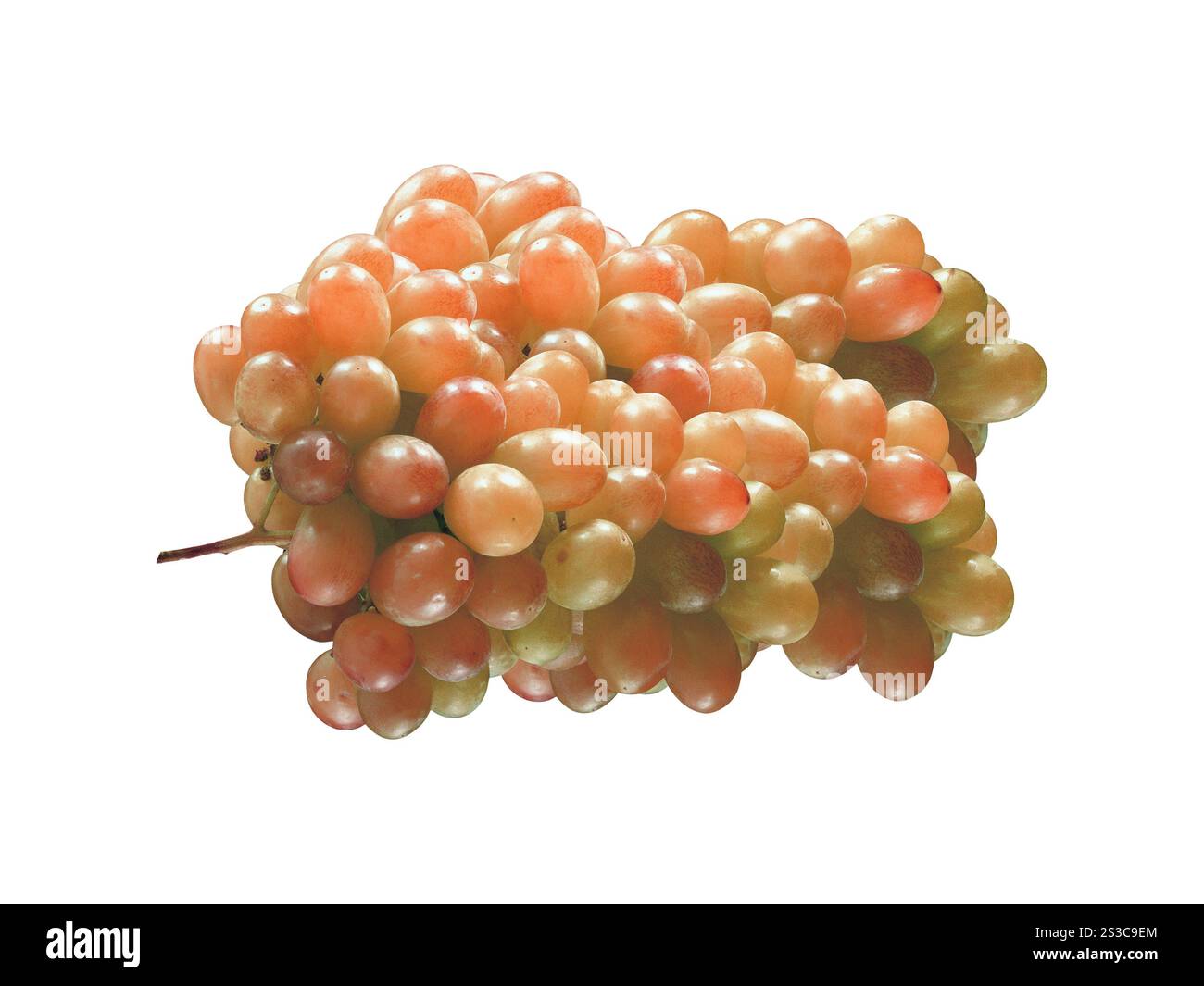 Grape tendril leaf isolated Cut Out Stock Images & Pictures - Alamy