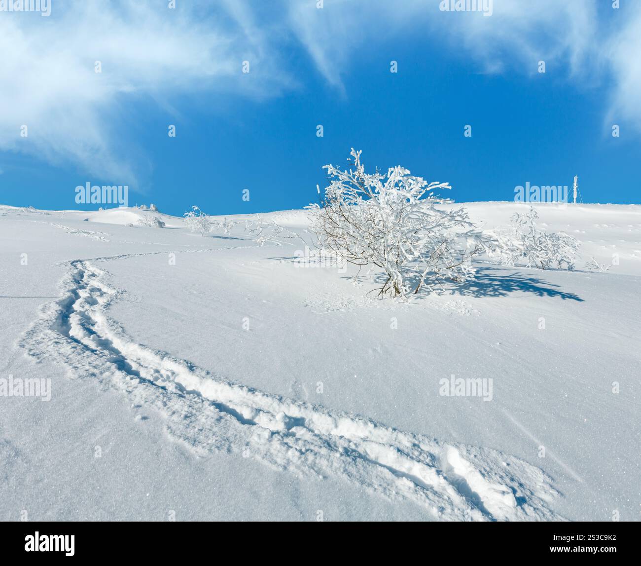 Beautiful winter rime frosting trees, communication tower and footpath ...