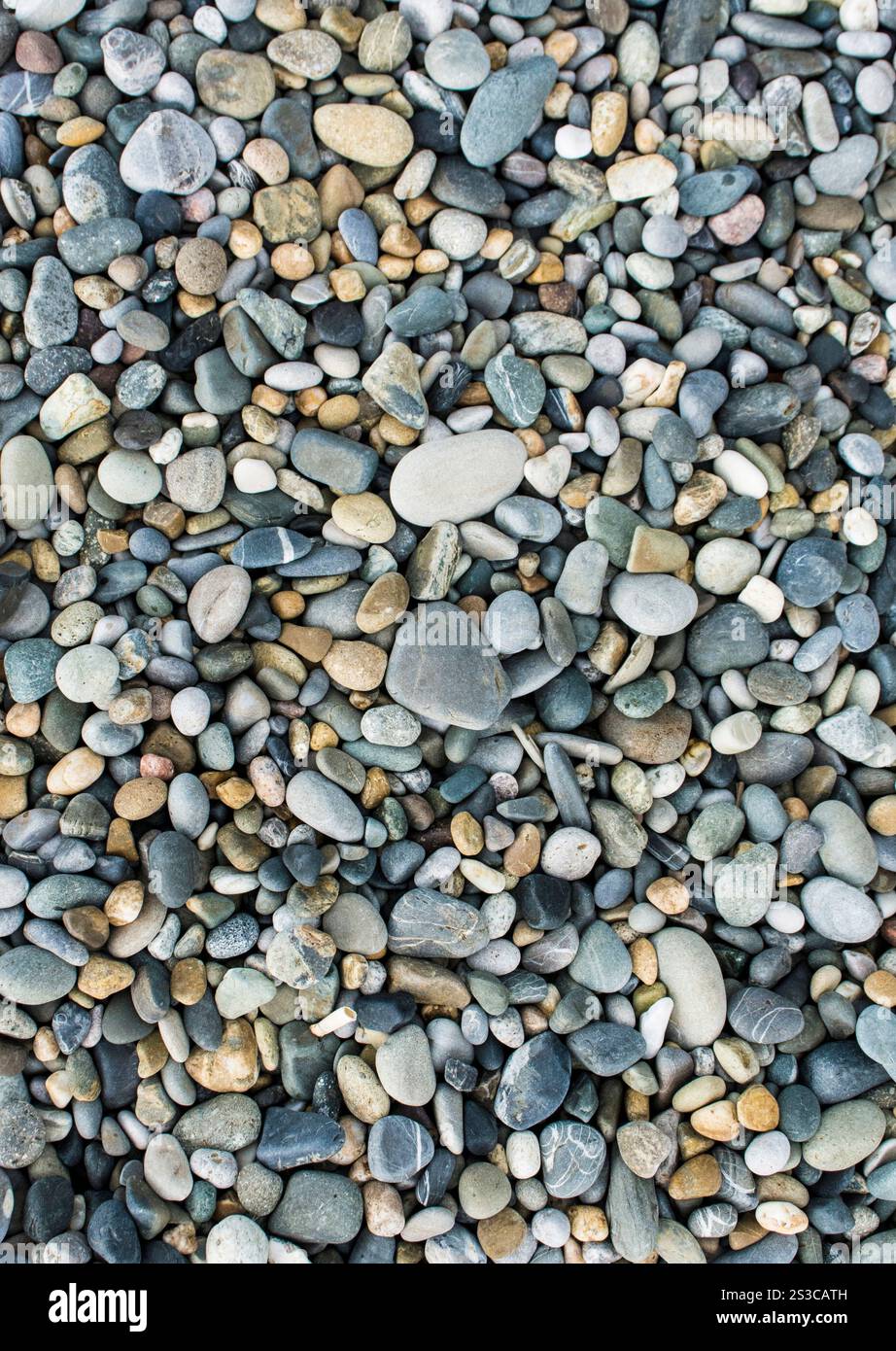 Seaside garden pebbles hi-res stock photography and images - Alamy