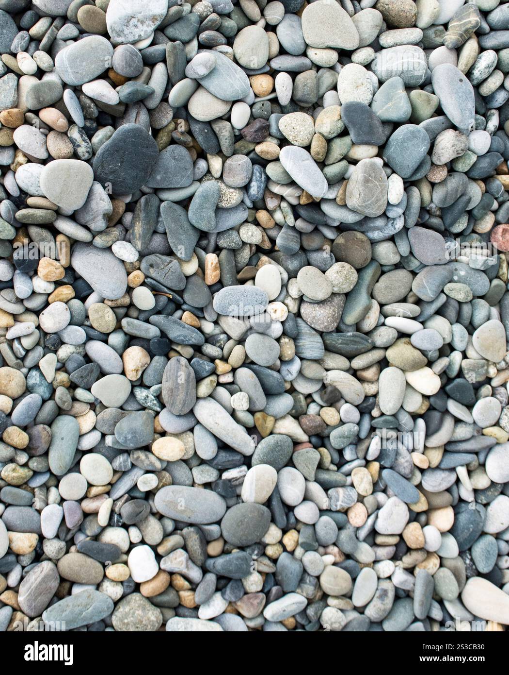 Natural colorful stone on the beach Stock Photo - Alamy
