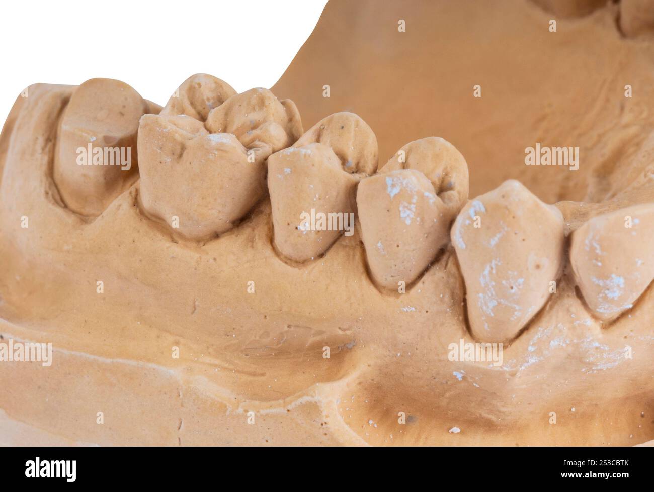 Jaw care hi-res stock photography and images - Alamy