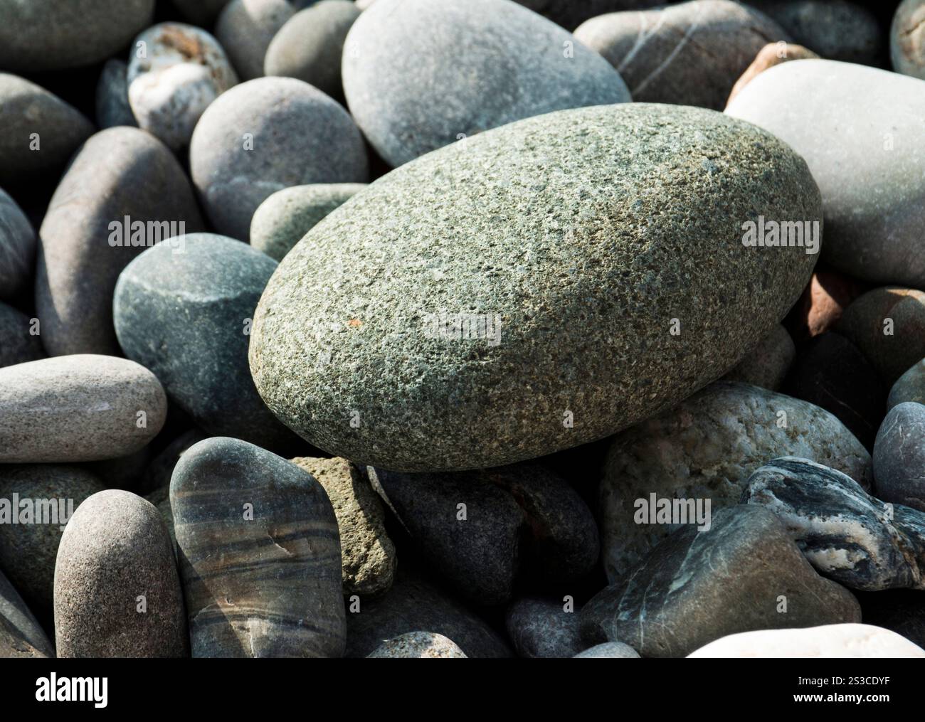 round pebbles on the beach Stock Photo - Alamy