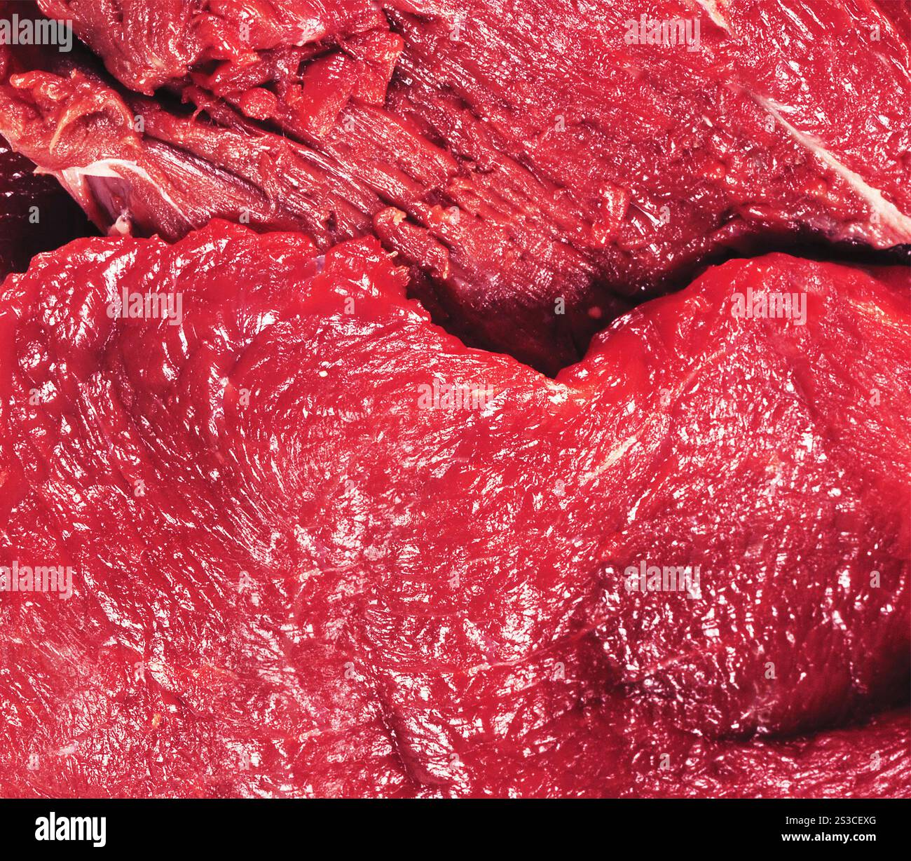 fresh raw beef meat Stock Photo - Alamy