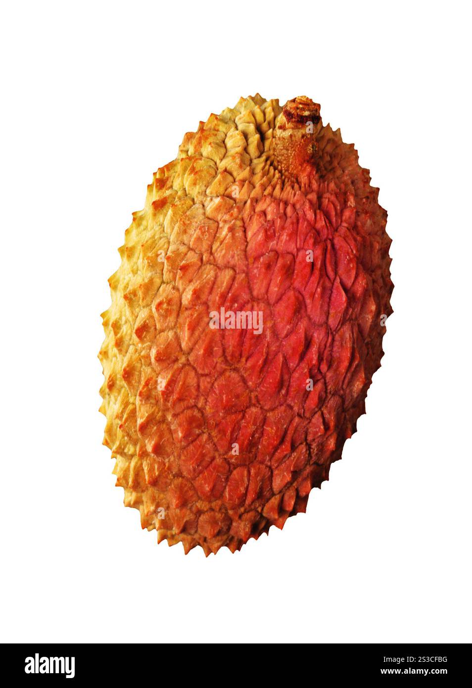 Durian hi-res stock photography and images - Alamy