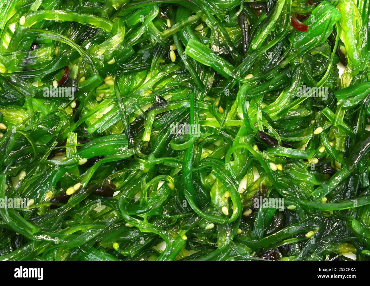 Green Seafood background. Organic Japanese Wakame background. Edible ...