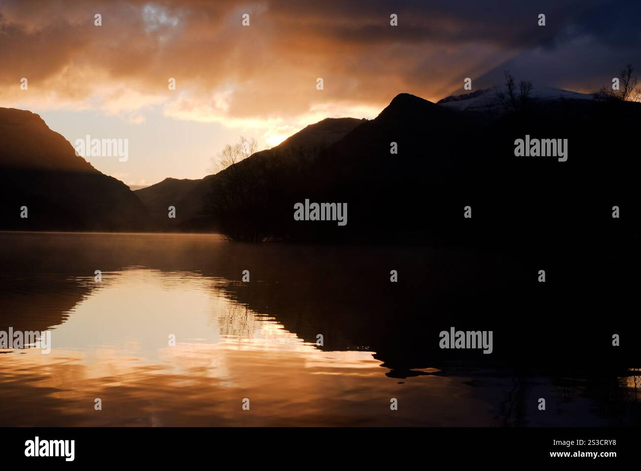 The lone tree in Padarn Lake, Llanberis, Gwynedd, North Wales, Great ...