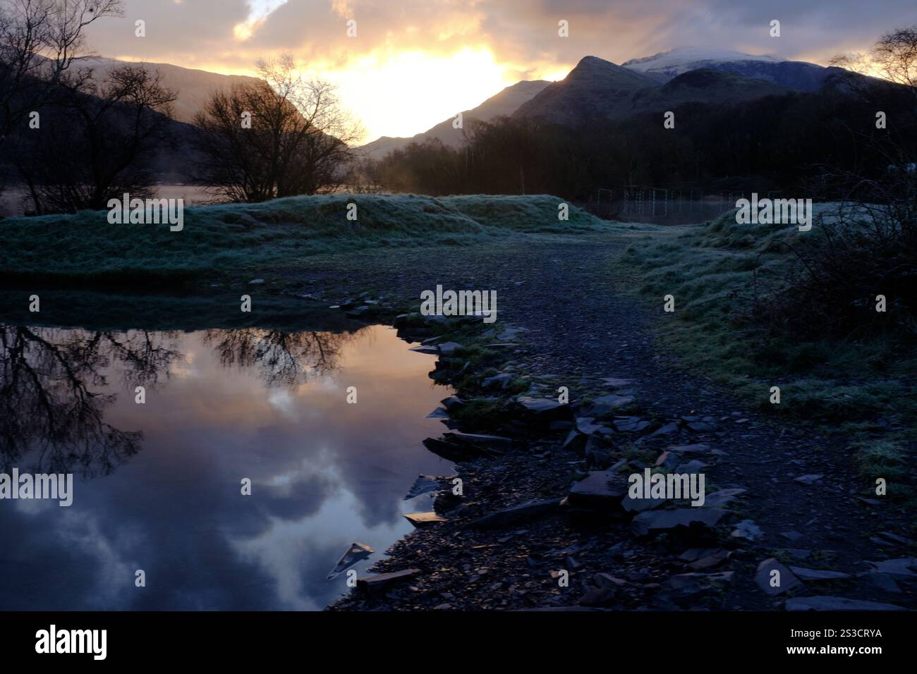 The lone tree in Padarn Lake, Llanberis, Gwynedd, North Wales, Great ...