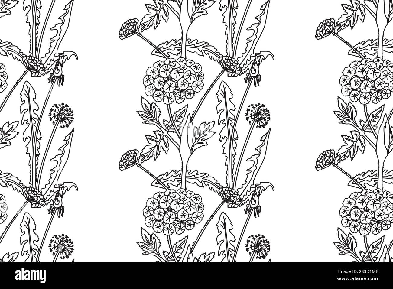 Black white chrysanthemum Stock Vector Images - Alamy