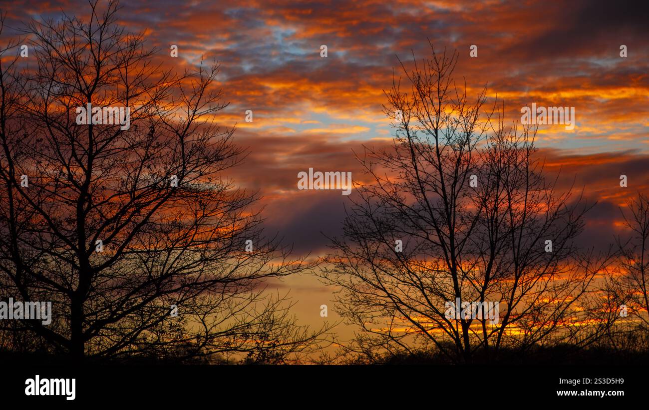 Sunrise Through Trees Stock Photo - Alamy