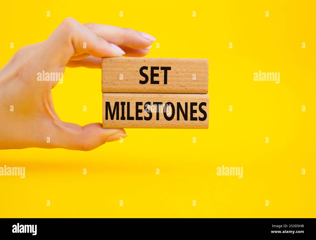 Set milestones symbol. Concept word Set milestones on wooden blocks ...